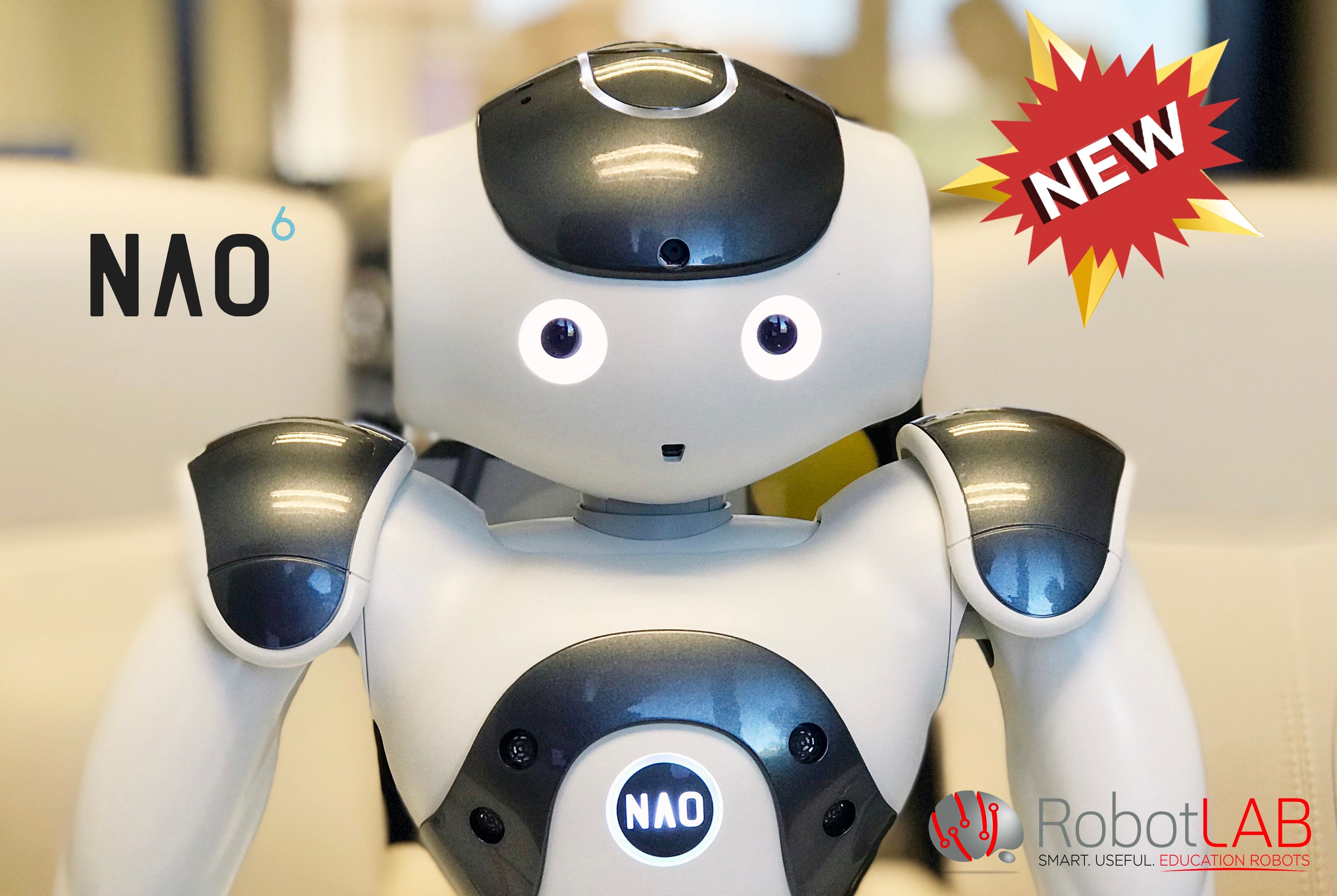 FIRST IMPRESSION SOFTBANK ROBOTICS NAO V6